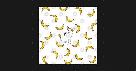 Cat No Like Banana Meme T Shirt Teepublic