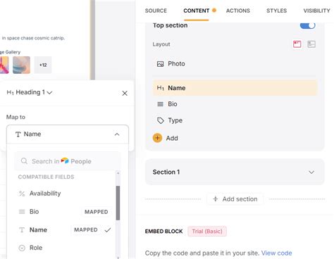 Integrating Airtable with Softr | Astrea IT Services