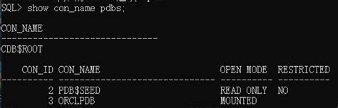 Oracle19c Sql Developer创建本地用户pdb用户及配置连接sqldeveloper 连接pdb Csdn博客