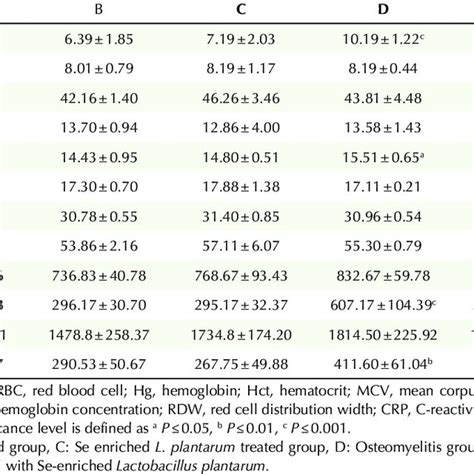 Bone Radiographic Images A Part Of The Tibia In The Osteomyelitis