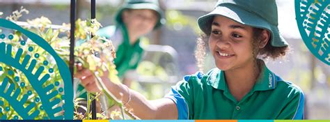 Queensland Curriculum And Assessment Authority Qcaa Is Offering Free Webinars For Senior Years