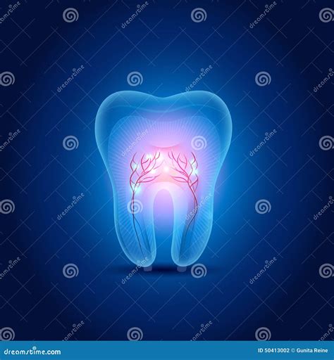 Tooth Illustration Cartoon Vector 22855923