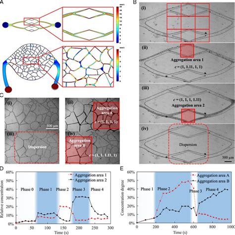 Aggregation Control Of A Microagent Swarm A Aggregation Of A Download Scientific Diagram