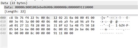 Unable To Unpack Information Between Custom Preamble In Python And