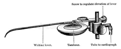 Cardiograph Vintage Illustration Stock Vector Illustration Of