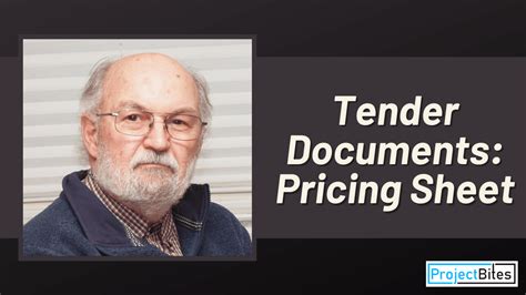 Tender Document Pricing Sheet Projectbites