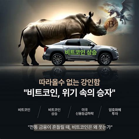 비트코인 위기 속의 승자