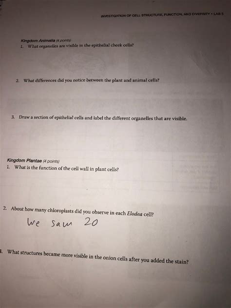 Solved LAB INVESTIGATION OF CELL STRUCTURE FUNCTION AND Chegg