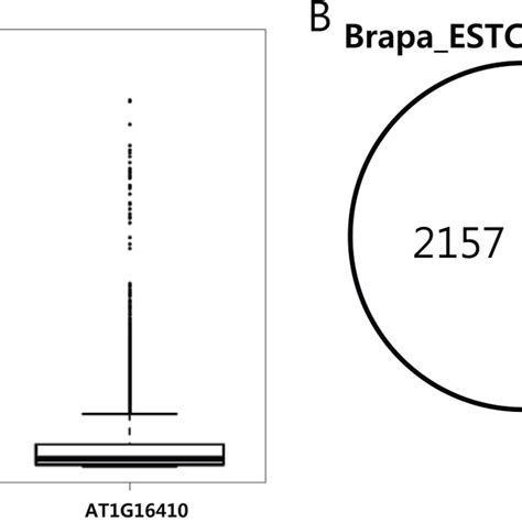 Distribution Of The Squared Pearson Correlation Coefficients Of All Of