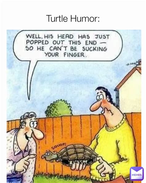 Turtle Humor Curmudgeon Memes