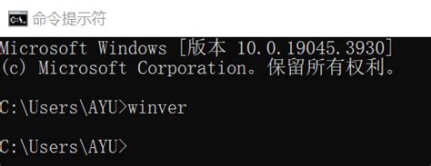 【docker】windows10系统下安装并配置阿里云镜像加速 docker desktop 配置镜像加速 csdn博客
