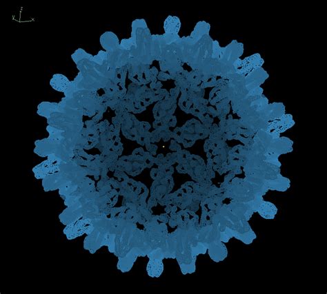 REQUEST Add Coot Issue BioArchLinux Packages GitHub