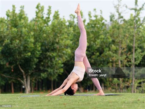 숲 배경으로 초원의 매트에 맨발로 요가를 연습 하는 중년 스포티 한 매력적인 여자 운동 스포츠웨어 바지와 상단을 입고 야외 전체 길이 30 39세에 대한 스톡 사진 및 기타