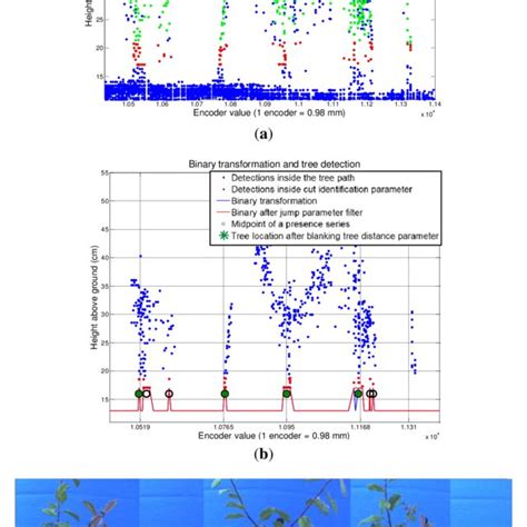 Methodology Used For Tree Stem Identification From The LIDAR Detection Download Scientific