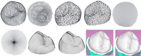 Adaptive Map By 56 First Row Left Stl Model Of The Molar Tooth
