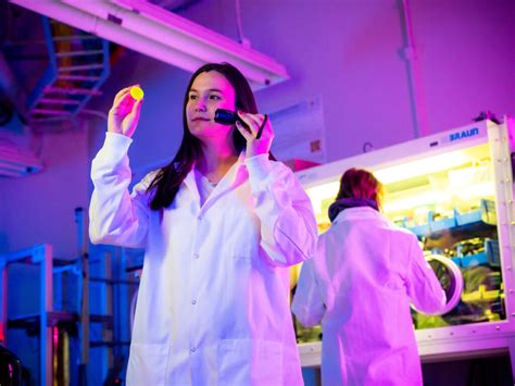 Functional Materials Materials Science And Engineering