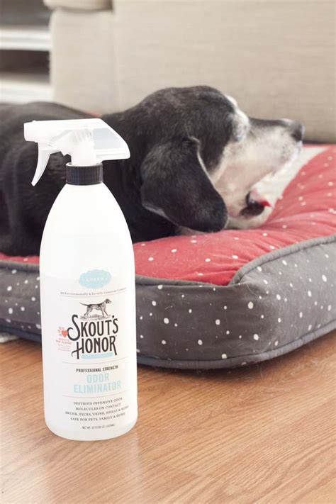 Skouts Honor All Natural Product Review Southern Revivals