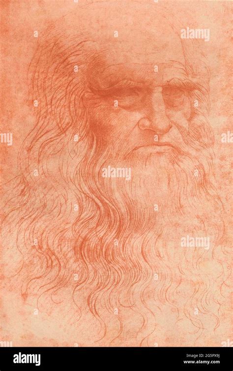 Leonardo Da Vinci Self Portrait In Red Chalk