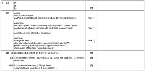 Igcse Biology 0610 72 Digestive System Igcse Style Questions Paper 4