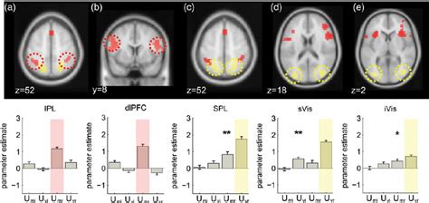Imaging Results From Dorsolateral Prefrontal Parietal And Visual Download Scientific Diagram