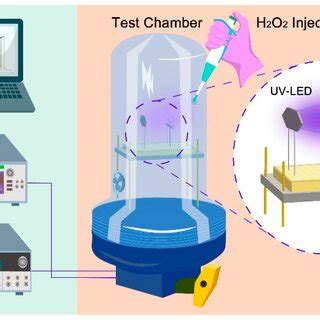 Schematic Block Diagram Of The HPV Testing System Download Scientific Diagram