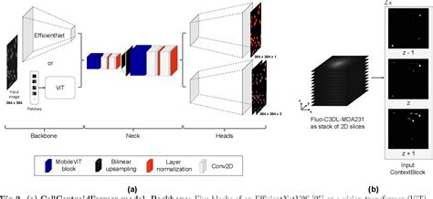 Figure From Self Supervised Pseudo Colorizing Of Masked Cells Semantic Scholar