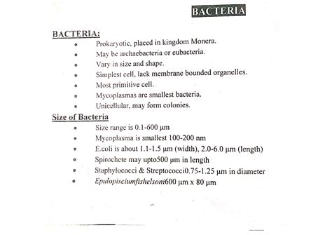 SOLUTION: Bacteria definition structure diagram classification - Studypool