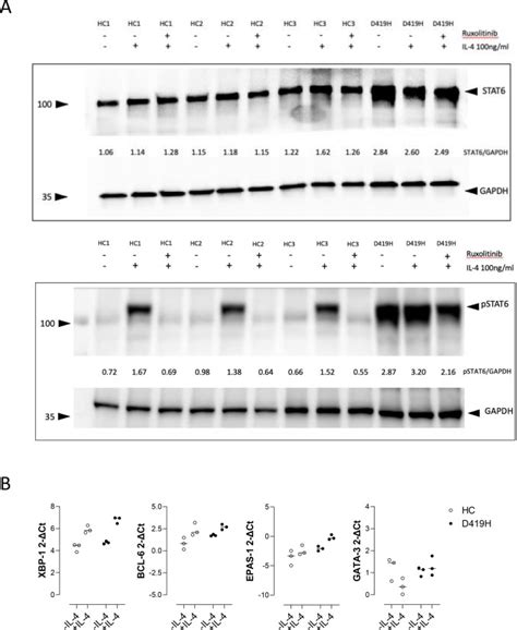 Autosomal Dominant Stat6 Gain Of Function Causes Severe Atopy
