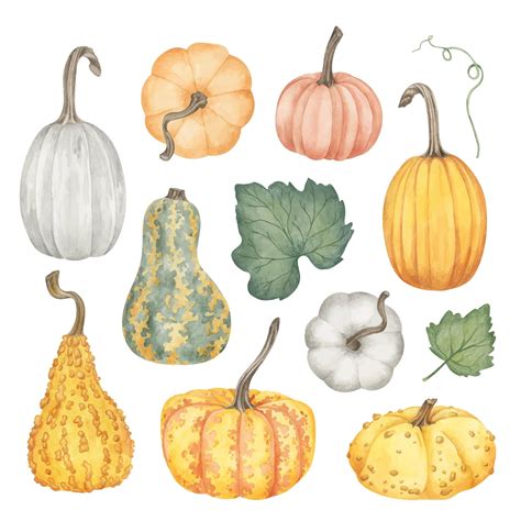 Premium Vector Pumpkins Hand Drawn Watercolor Collection Squash Fall