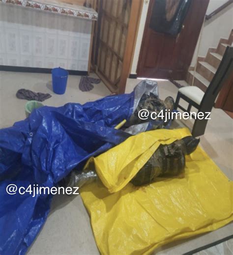 Decía Tener 48 Personalidades Engañó A Los Hermanos De Su Ex Novia Y