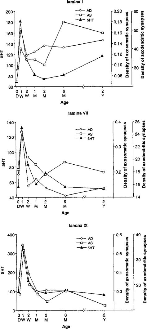Table 1 From Regional Differences Of Serotonin Mediated Synaptic