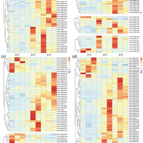 Expression Heatmaps Of DEGs The Expression Pattern Of Genes Functioned