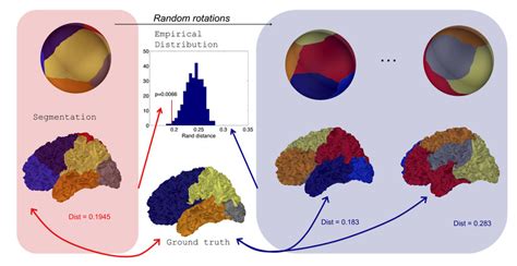 Distribution Of Rand Distances Obtained Through Random Rotations Of A