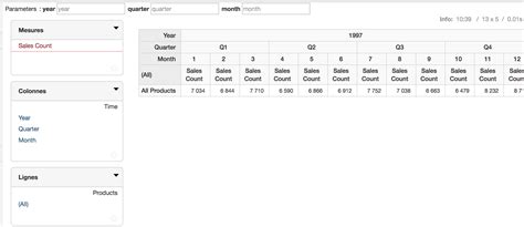 [saiku enterprise] bug with the excel export for report with parameters