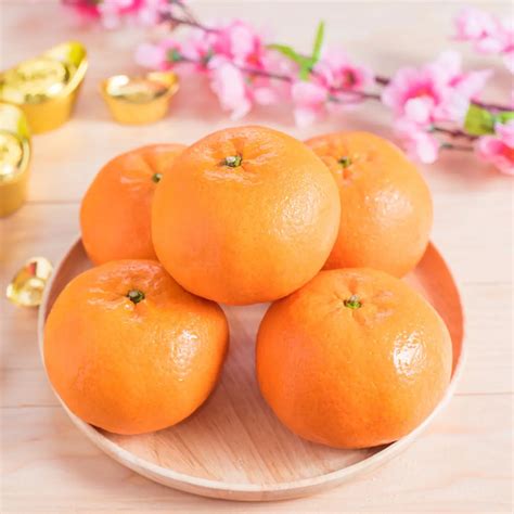 Jeruk Mandarin