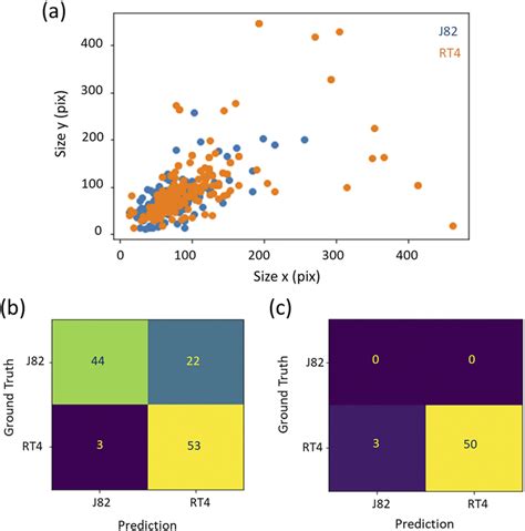 Assessments Of The Segmentation And Classification Performances A