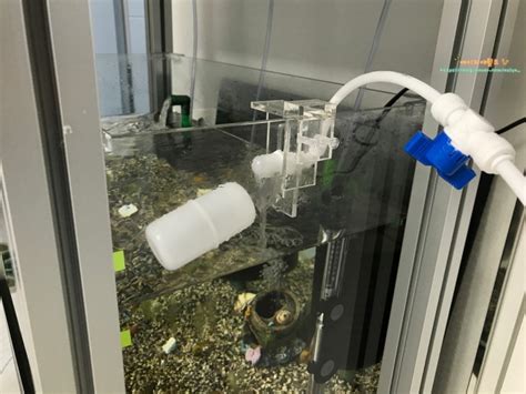 어항 환수방법 ♪ 수이사쿠 사이펀 And 자동환수셋트 편하게 어항청소 물갈이 하자 네이버 블로그