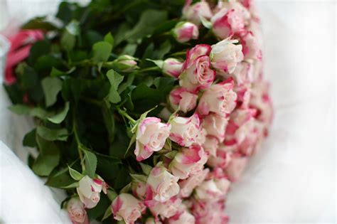 장미 꽃다발 Pixabay의 무료 사진 Pixabay