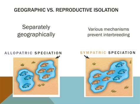 Reproductive Isolation