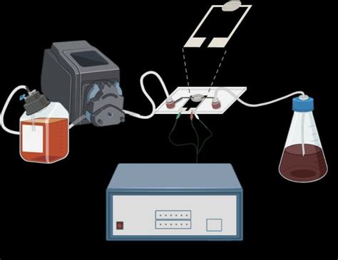 A Graphical Illustration Of A Microfluidic System For In Situ Download Scientific Diagram