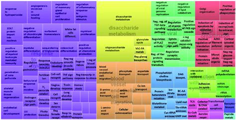 Treemap Visualization Obtained By Revigo Analysis See Materials And Treemap Visualization Obtained By Revigo Analysis See Materials And