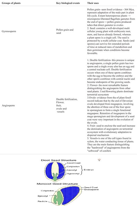 Figure From Biology Of Seed Development And Germination Physiology Semantic Scholar