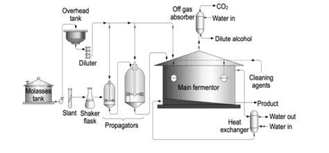 Ethanol Production Processes Microbial Production And Advantages