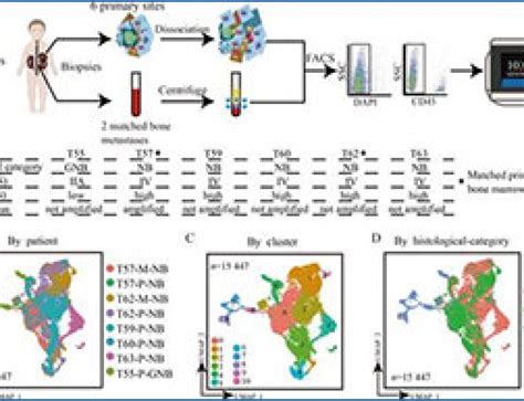 An Rna Sequencing Workflow To Characterize The Tumor Microenvironment
