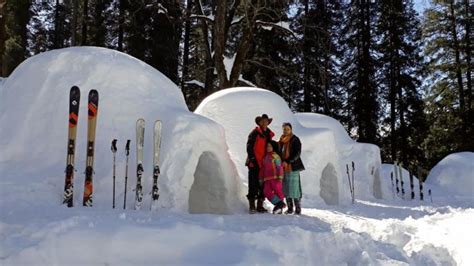 New Igloo Stay In Manali Is Attracting Tourists From All Over The Country Curly Tales