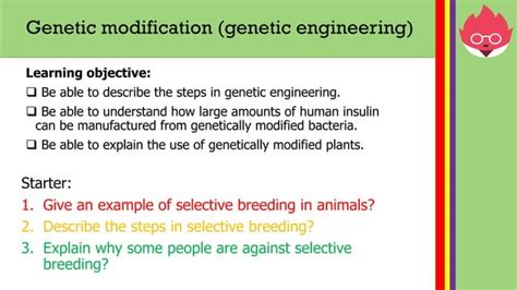 Igcse Biology Edexcel 9 1 Genetic Modification Pdf