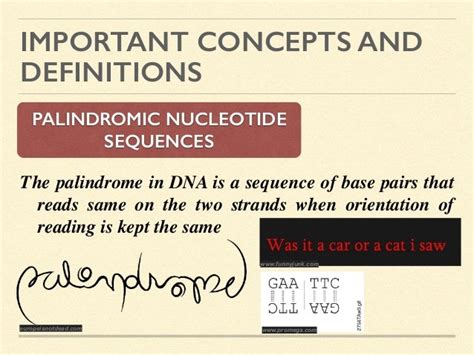 Importance Of Palindromic Sequence Herykart