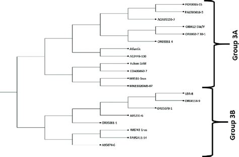 Detailed Topology Of Cluster 3 Download Scientific Diagram