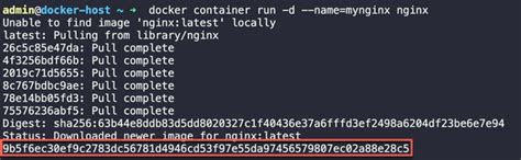 How To Get Docker Container IP Address From The Host