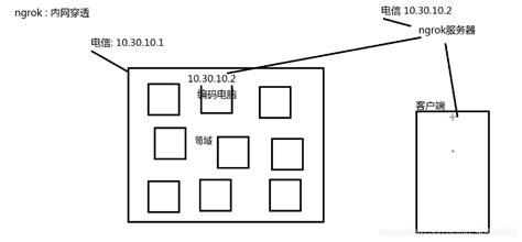 ngrok内网穿透【原理 使用教程】 csdn博客